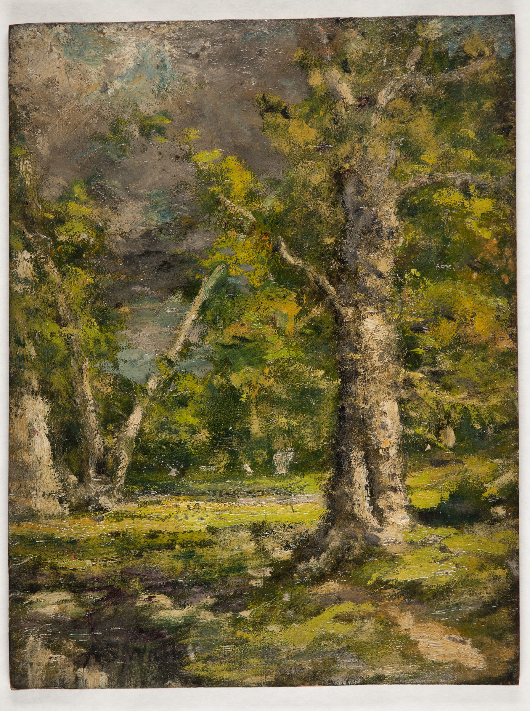 Collection | Carnegie Museum of Art