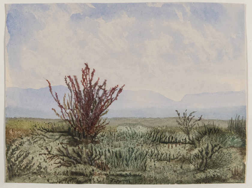 Collection | Carnegie Museum of Art