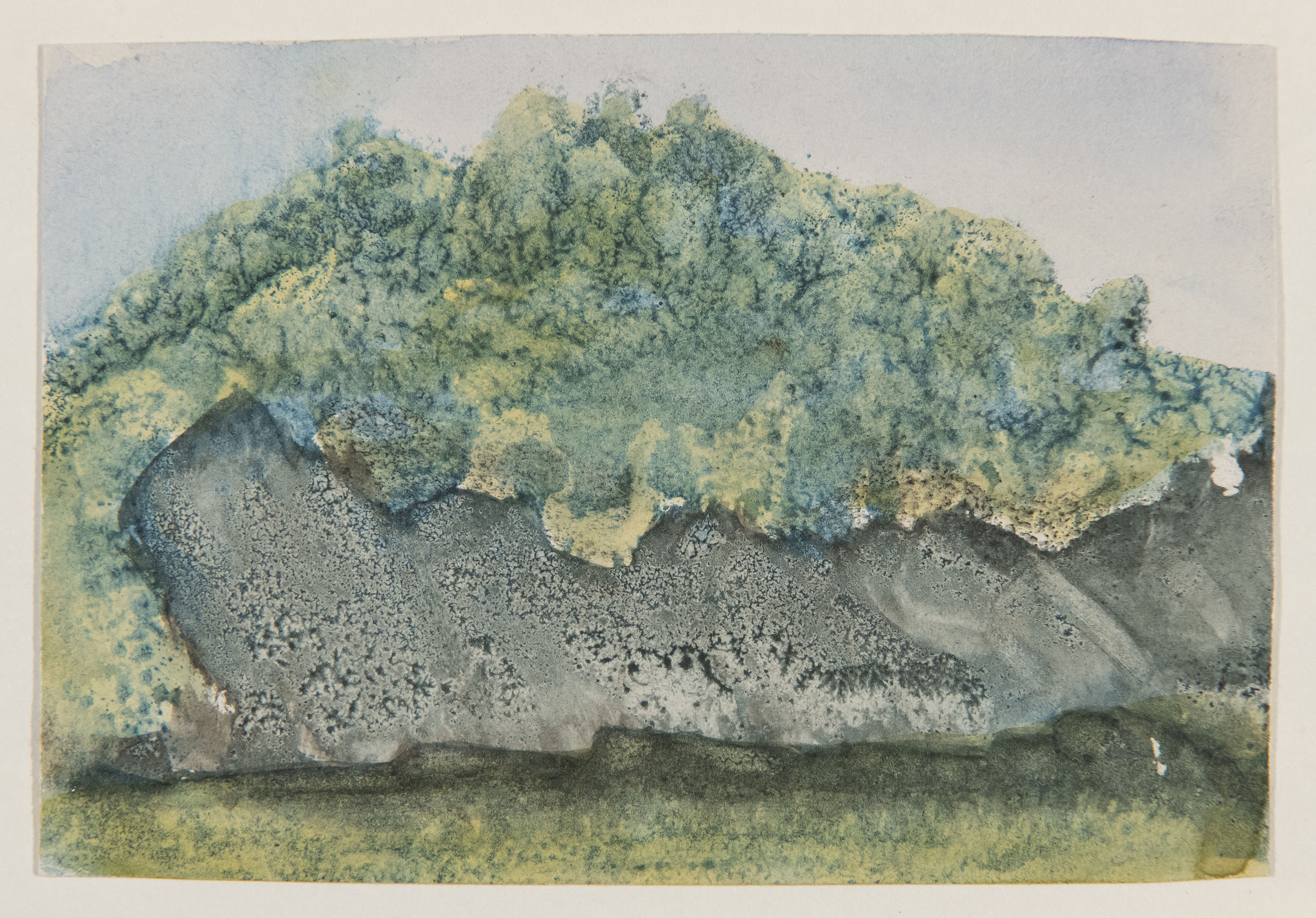 Collection | Carnegie Museum of Art